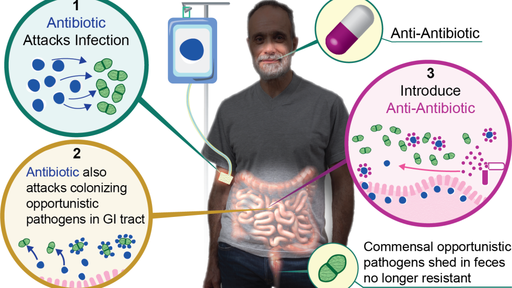 'Anti-antibiotic' allows for use of antibiotics without driving ...